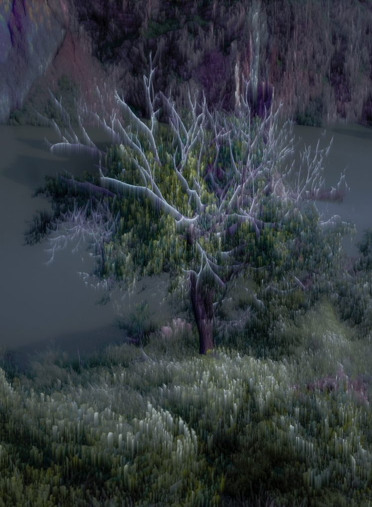 Hallucination Series-illusionistic plants – WENSHUYU