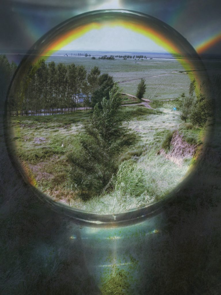 Hallucination Series-illusionistic plants – WENSHUYU
